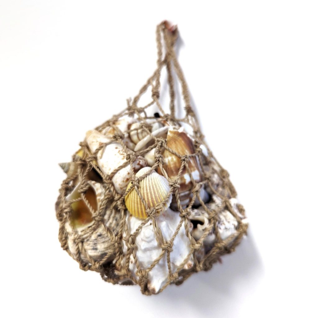 Shell Bundle – Jeddala Imports